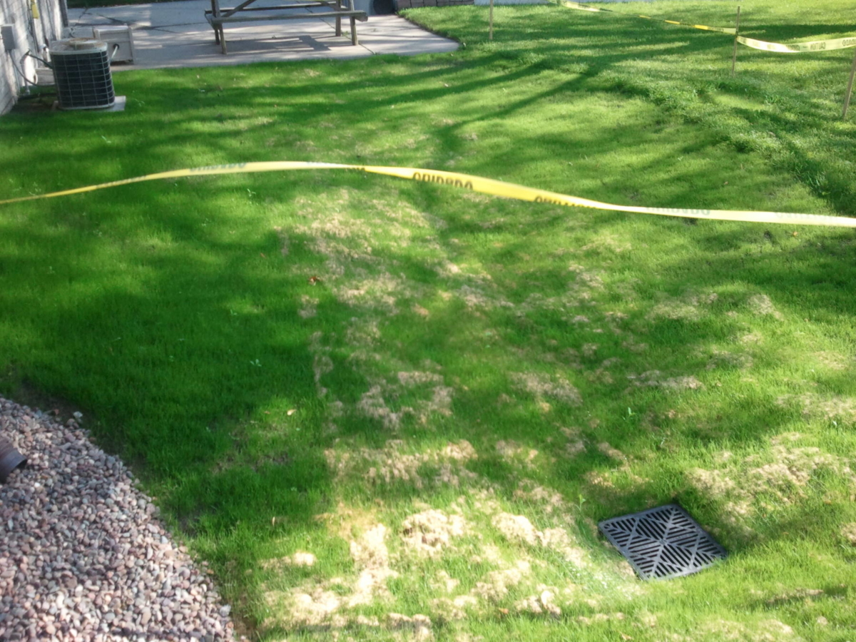 Grading And Catch Basins, West Allis, WI | Integrity Drainage